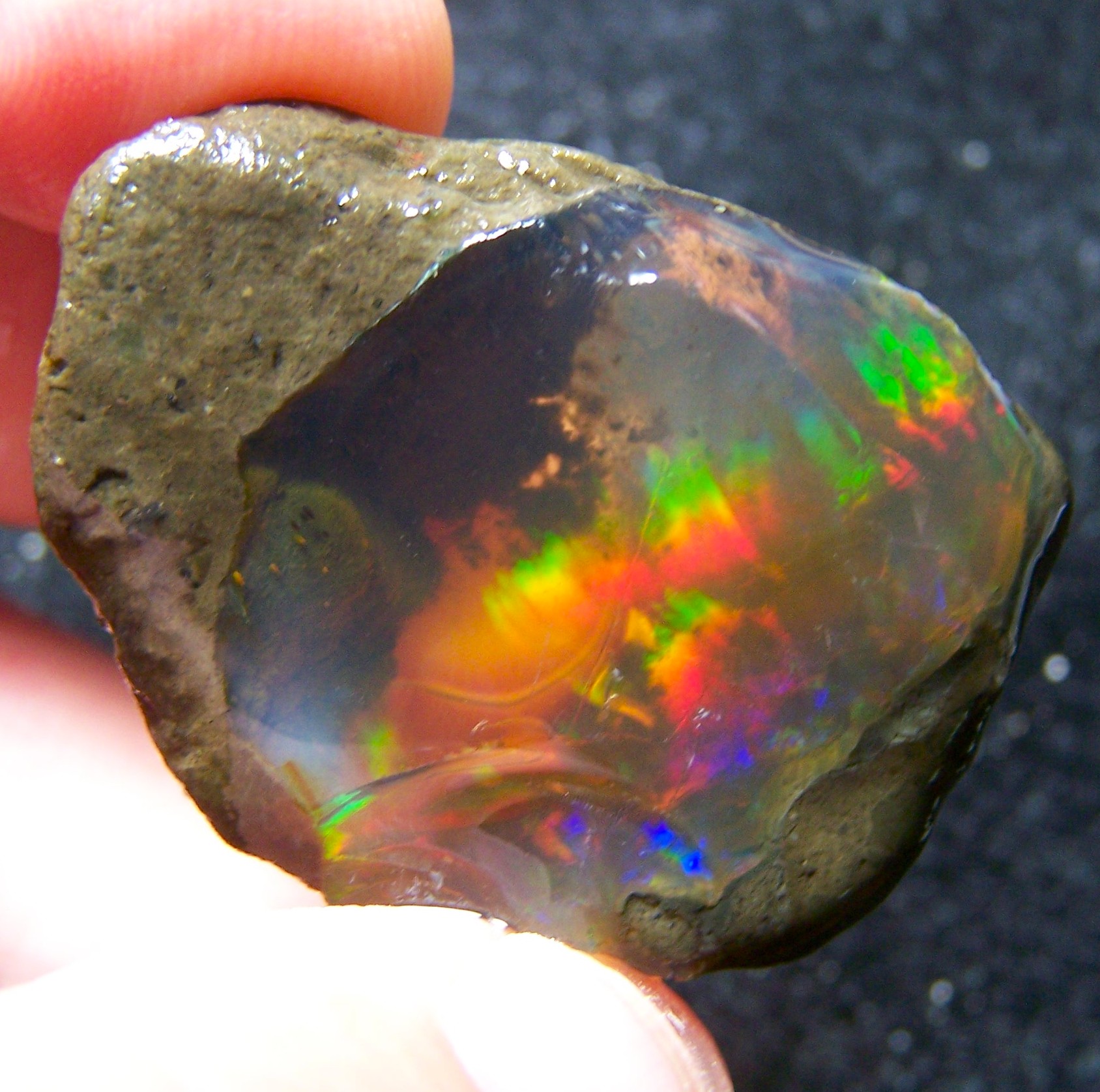 Global Prospecting - Premium Opals & Gemstones